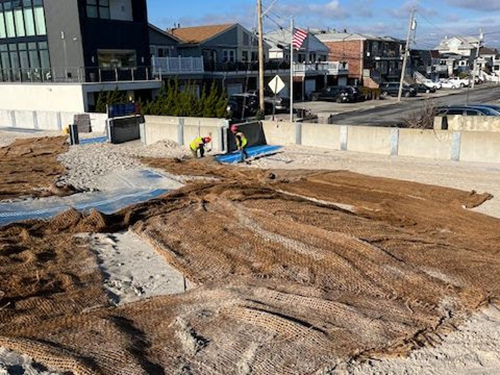 Dunes Vandalized in Beach 120s – THE ROCKAWAY TIMES