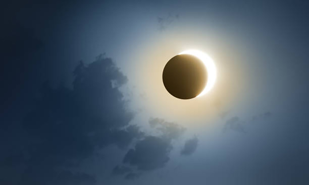 The Solar Eclipse and our Local Wildlife – THE ROCKAWAY TIMES