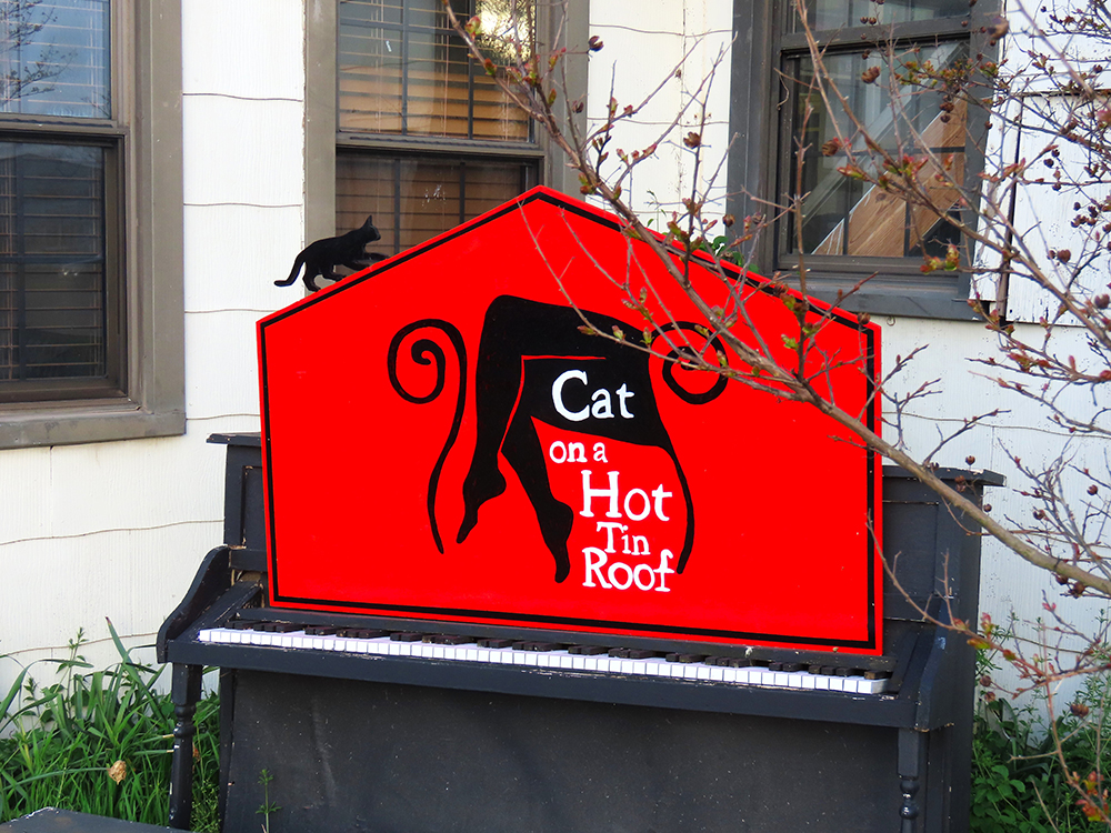 ‘Cat On A Hot Tin Roof’ Comes to the RTC – THE ROCKAWAY TIMES